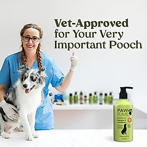 Pawfume Dog Shampoo and Conditioner – Hypoallergenic Dog Shampoo for Smelly Dogs – Best Dog Shampoos & Conditioners – Probiotic Pet Shampoo for Dogs – Best Dog Shampoo for Puppies (Show Dog, 2-Pack)