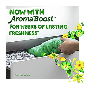 Gain Laundry Fabric Softener Liquid, Original Scent, 41 Fl Oz, 48 Loads, He Compatible, Pack Of 4, (Packaging May Vary)