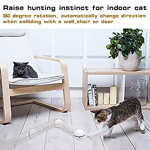 YOFUN Smart Interactive Cat Toy - Newest Version 360 Degree Self Rotating Ball, USB Rechargeable Wicked Ball, Build-in Spinning Led Light, Stiulate Hunting Instinct for Your Kitty (White)