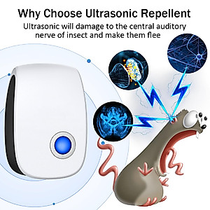 Ten KiKi Ultrasonic Pest Repeller Plug-in Ultrasonic Repellent for Mice, Mouse, Mosquito, Insect, Spider, Bug, Ant, Cockroach, Rodents & Rats Indoor Use Repeller 6 Packs, White