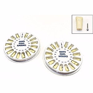 Dental Typodont Ivorine Upper and Lower Replacement Pediatric Teeth for Model 760