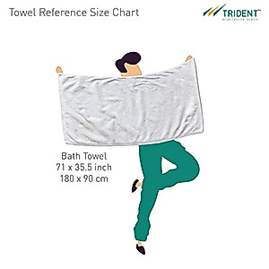 TRIDENT NectorSoft, Extra Large, 100% Cotton, Zero Twist, Towels, Super Soft, Extra Absorbent (Purple Ash, Bath Sheet (2-Piece))
