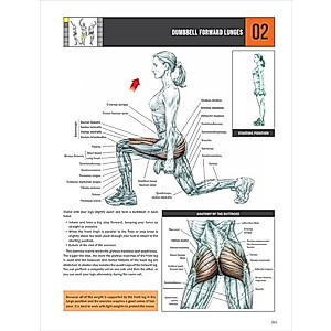 Strength Training Anatomy