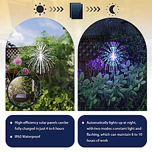 Honche Solar Garden Lights, 2 Pack Decorative Solar Outdoor Lights Waterproof IP65 8 Lighting Modes Firework Lights for Garden Patio Counrtyards Pathway Part
