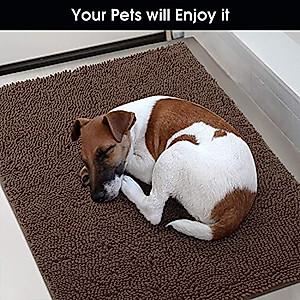 HOMEIDEAS Absorbent Chenille Door Mat Indoor, 30"x48", Large Water and Dirt Trapper for Muddy Shoes and Dog Paws, Machine Washable Throw Rug, Welcome Front Doormat, Brown