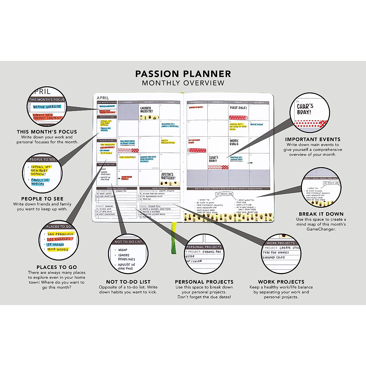 Passion Planner Weekly 2023 Annual Monday Goal-Oriented Weekly Agenda, Appointment Calendar, Reflection Journal Hardcover (Medium 6.9 x 9.8 in) (Rabbit Moonlight Rose Gold)