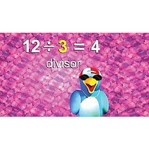 10 DVD Math & Science Collection by Rock 'N Learn (Addition & Subtraction, Tell Time, Money, Multiplication, Division, Fractions, Physical Science, Earth Science, Life Science and Human Body)