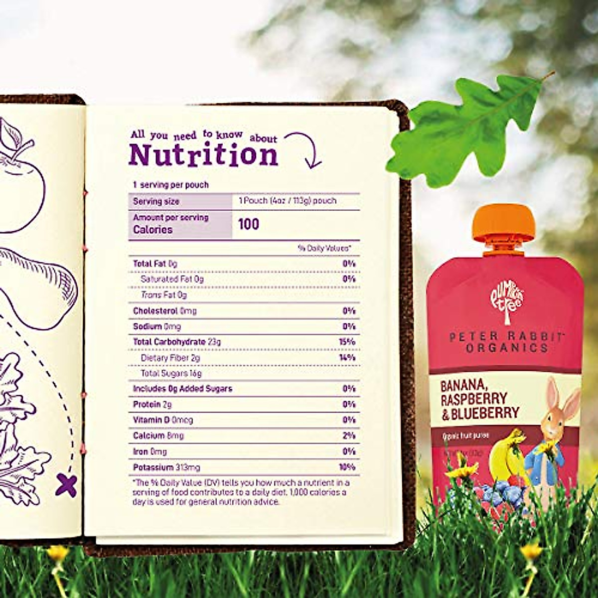 Peter Rabbit Organics, Organic Raspberry, Banana and Blueberry 100% Pure Fruit Snack, 4 oz. Squeeze Pouches (Pack of 10)