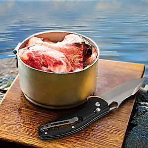 ALBATROSS 7.25" EDC Axis Lock Ball Bearing Assisted Opening Folding Pocket Knife with Satin Blade FRN Handle FK036SC-BK