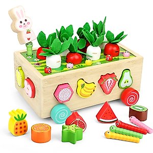 Lemofix Montessori Toys for 1 2 3 Year Old,Toddler Toys for Baby Boys Girls,Wooden Carrot Harvest Shape Sorting,Educational Toys for 1 2 3 Year Old Boys Girls Birthday Gifts