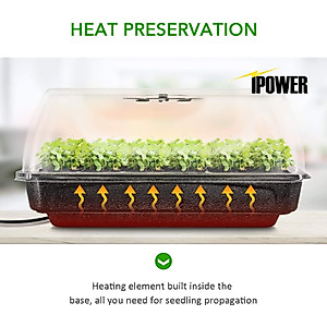 iPower Seed Tray Kits with Heater Garden Propagator Set Seed Starter Tray with Vented Humidity Dome, 15.1" x 9.5", 24 Cell