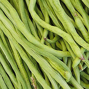 California Black-Eye Bush Beans - 30 g Packet ~100 Seeds - Non-GMO, Heirloom - Black-Eyed Peas (Cowpeas) - Vegetable Garden Seeds