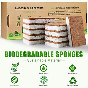 PANYEE Biodegradable Natural Kitchen Sponge，Eco Friendly Sponges for Dishes,Compostable Cellulose Sponge with Natural Plant Based Coconut Walnut Sustainable Scrubber Sponge Pack of 12