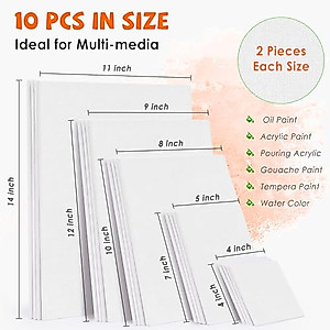 Canvases for Painting, Painting Supplies with 20 Cotton Canvas Panels, 4x4, 5x7, 8x10, 9x12, 11x14 inches (2 of Each), with 24 Acrylic Paints, 10 Brushes, Painting Canvas Set for Multimedia