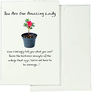 Blue Mountain Arts Greeting Card “You Are One Amazing Lady” is Perfect For a Mom, Daughter, Wife, Or Any Woman For Birthday, Anniversary, Mother’S Day, Or “Just Because,” by Douglas Pagels