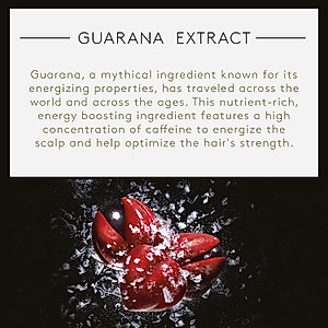 Rene Furterer Forticea Strengthening Revitalizing Shampoo - Formulated with Guarana Extract, Rosemary, Vitamin B3 and B5, - Sulfate, Paraben & Silicone Free, 20.2 Fl Oz