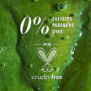 Herbal Essences bio:renew Hemp + Potent Aloe Conditioner for Frizz, 13.5 Fl Oz