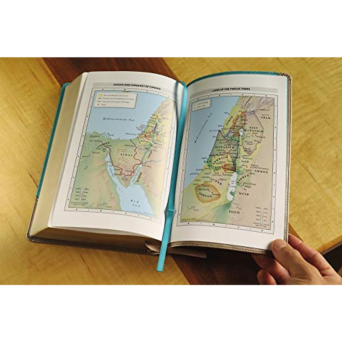 NIV, Personal Size Bible, Large Print, Leathersoft, Teal/Gold, Red Letter, Comfort Print