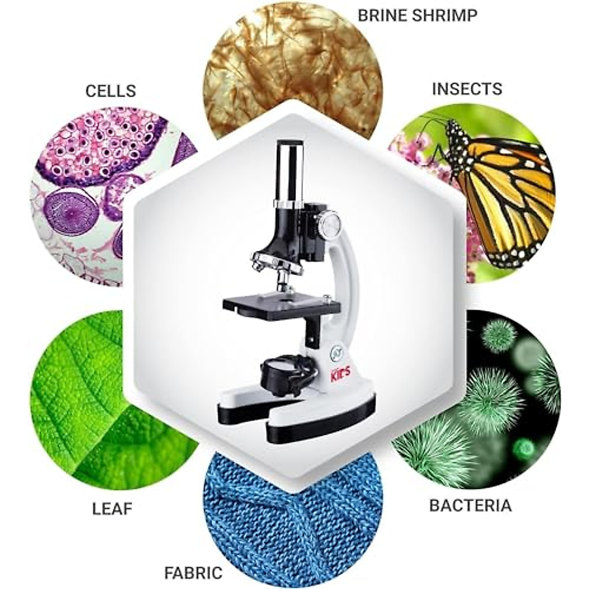AmScope 120X-1200X 52-pcs Beginner Microscope STEM Kit with Metal Body Microscope, Plastic Slides, LED Light and Carrying Box (M30-ABS-KT2-W),White