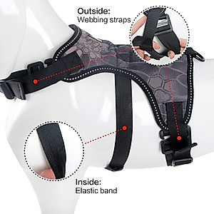 RultSng Pet Dog Harness,Chest Strap Shoulder for Sports Action Camera Fixed Shoulder Strap, Chest Harness Mount Adjustable Chest Strap Belt for Travel Action Cameras Accessories (Size : M)