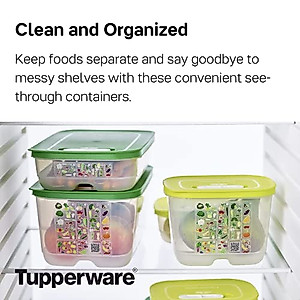 Tupperware Brand FridgeSmart Starter Set - 4 Containers to Store & Extend Shelf Life of Produce + Lids - Dishwasher Safe & BPA Free