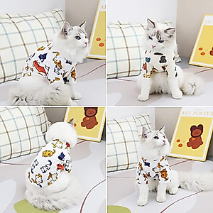 2 Pack Cute Printed Dog Clothes Soft Warm Boy Girl Puppy Shirt Comfort Cat Costume for Small Medium Dogs Cats, Machine Washable Dog Outfits, Large.