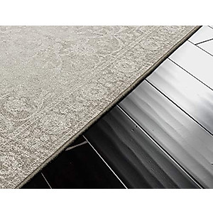 Brumlow MILLS Georgiana Traditional Distressed Floral Print Pattern Home Indoor Area Rug for Living Room Decor, Dining, Kitchen Rug, or Bedroom Mat, 30" x 46", Neutral