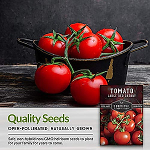 Survival Garden Seeds - Large Red Cherry Tomato Seed for Planting - Packet with Instructions to Plant and Grow Tomatoes in Your Home Vegetable Garden - Non-GMO Heirloom Variety