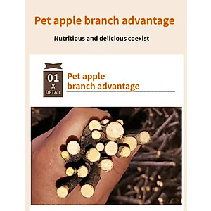 Barn Eleven 100g/0.22lb Natural Apple Sticks, Treats Food for Small Animals, Chew Toys for Chinchilla Guinea Pigs Rabbit Squirrel Hamster Bunny (100g/0.22lb)