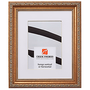 Craig Frames Ancien Ornate, 20 x 24 Inch Antique Gold Picture Frame Matted to Display a 16 x 20 Inch Photo