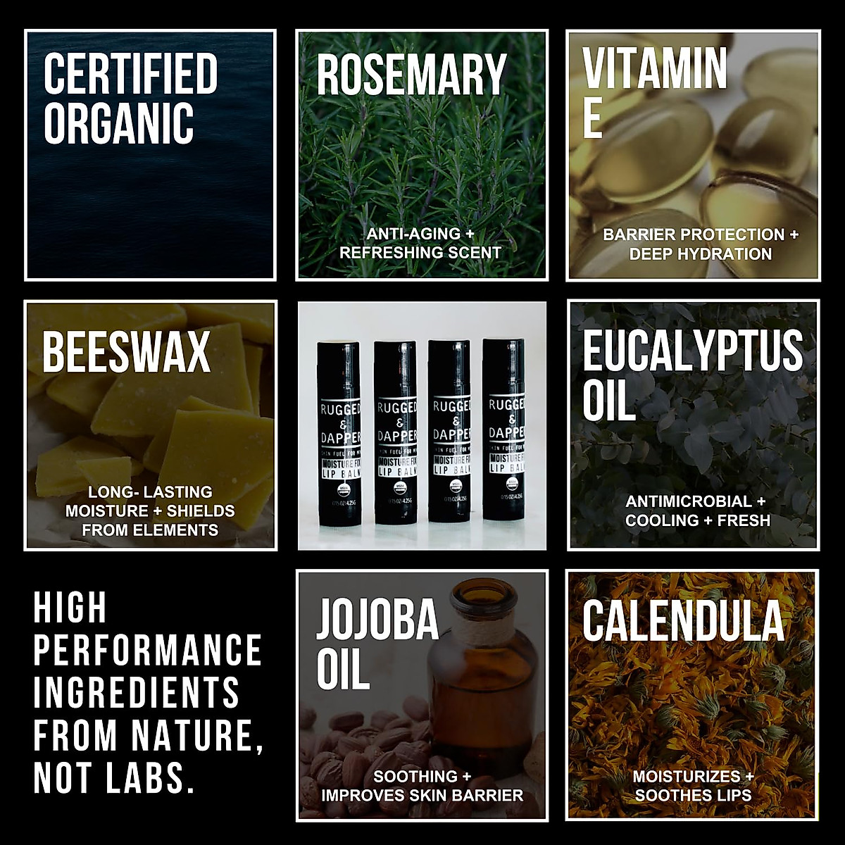 Organic Lip Balm for Men, Mens Chapstick Organic, Mens Lip Balm, Natural Chapstick for Men, Organic Chapstick Mint Lip Balm, Peppermint Lip Balm, All Natural Men's Lip Balm Chap Stick, Lip Therapy