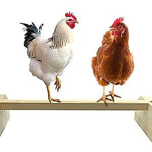 POPETPOP 2pcs Chicken Perch Wooden Roosting Bar for Coop and Brooder Bird Perch for Large Bird Baby Chicks Pollos Gallinas Polluelos Parrots
