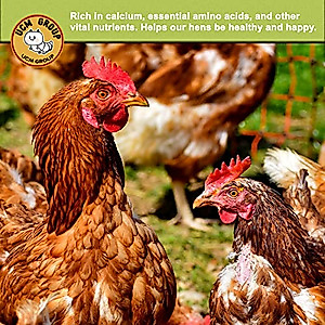 UCM Group 10LB Dried Black Soldier Fly Larvae for Chickens, Birds and Small Pets, High in Calcium