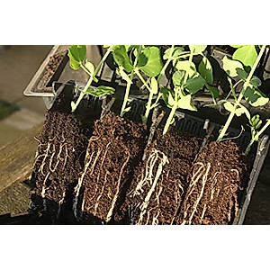 Tierra Garden 50-9000 Haxnicks Rootrainers Seed and Cutting Propagation Kit - Deep