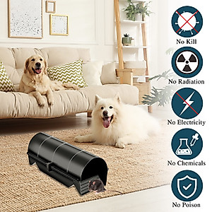 8 Pieces Rat Bait Stations Only Refillable Mice Bait Station Box Small Rat Trap Reusable Rodent Bait Station Mouse Bait Station Outdoor Indoor for or Rodents Rats Mice and Other Pests