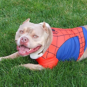 Spiderman Dog Shirt - Marvel Officially Licensed Spiderman Dog Costume - Breathable, Stretchy Spiderman Dog Costumes- Comfortable Marvel Pet Shirts - I Am Spiderman Suit, Large
