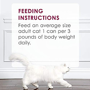 Purina Fancy Feast Pate Wet Cat Food Variety Pack, Savory Centers Pate With a Gravy Center - (2 Packs of 12) 3 oz. Pull-Top Cans