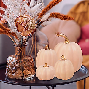 Winlyn 10 Pcs Assorted Artificial Blush Pink Pumpkins Decorative Fall Pumpkins Foam Pastel Light Pink Pumpkins for Fall Farmhouse Autumn Wedding Halloween Party Thanksgiving Festive Table Centerpiece