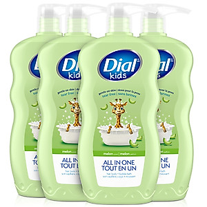 Dial Kids 2-in-1 Body+Hair Wash, Melon, 24 fl oz (Pack of 4)