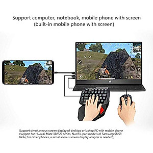 EVER LUSTRE 13.3 Inch Portable Monitor for Laptop PC,Portable Gaming Monitor for PS3 PS4 Xbox Switch with HDMI USB C (Monitor)