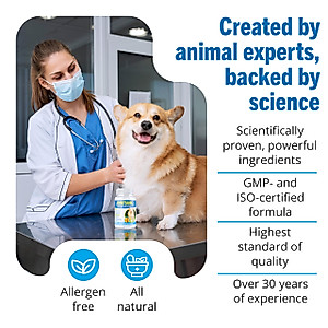 JOINTSURE Hip and Joint Supplement for Dogs 300 Tablets | Formulated with Glucosamine & Chondroitin for Dogs | Proven to Improve Mobility & Increase Flexibility | All Breeds & Sizes