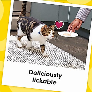 Temptations Creamy Puree with Chicken, Lickable Cat Treats, 0.42 oz Pouches, 24 Count