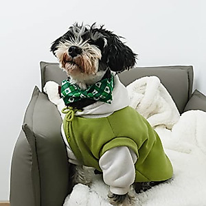 MACA Bates St. Patrick's Day Dog Collar with Bow/Flower/Bow tie, Clover Adjustable Collar for Small Medium Large Dog with Metal Buckle