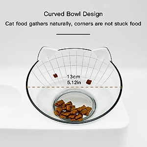 Marchul Tilted Cat Food Bowl with Feeding Mat for Food and Water, Food Feeding Dishes for Raised Cats and Puppies