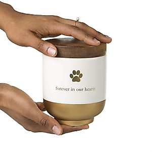 Pearhead Pet Ceramic Forever in Our Hearts Urn, Pet Memorial, Dog Or Cat Keepsake Urn, Rainbow Bridge, Gold