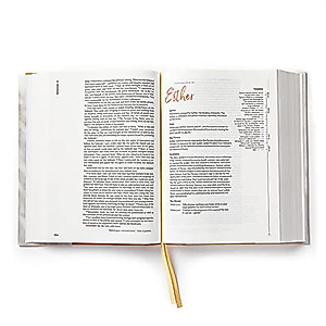 CSB Lifeway Women's Bible, Camel Cloth Over Board, Black Letter, Single-Column, Wide-Margins, Devotions, Articles, Word Studies, Character Profiles, Easy-to-Read Bible Serif Type