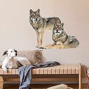 Pinenjoy Lifelike Wolf Wall Decal Wild Animal Wall Sticker 27.6x22inch Removable Self-Adhesive Vinyl Wall Art Decors for Living Room Children Bedroom Nursery Classroom Playroom