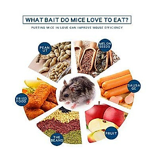 JGRZF Quality Chipmunk Trap 1 Door Humane Live Animal Mouse Cage Rat Mouse Mice Traps for Small Rodent Animals, for Indoor and Outdoor