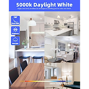 Lumiverse A19 LED Light Bulbs Dimmable, 5000k Daylight White 9.5 Watt [60w Equivalent], E26 LED Bulb Energy Efficient, UL Listed (5000k, Pack of 12)