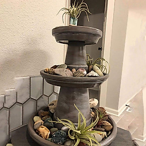 Haudang 4Pack Artificial Pineapple Grass Air Plants Fake Flowers Faux Flocking Tillandsia Bromeliads Home Garden Decor